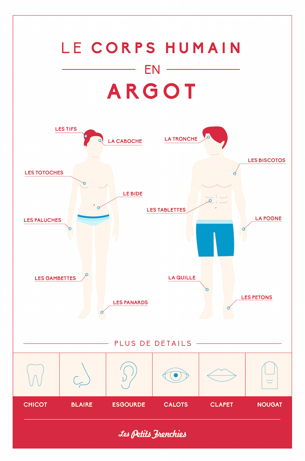 L'anatomie en argot ! - Les Petits Frenchies