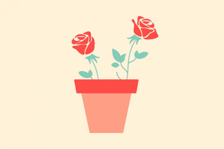 Découvrir Le Pot Aux Roses - Définition & Origine (Expression) - Revolution