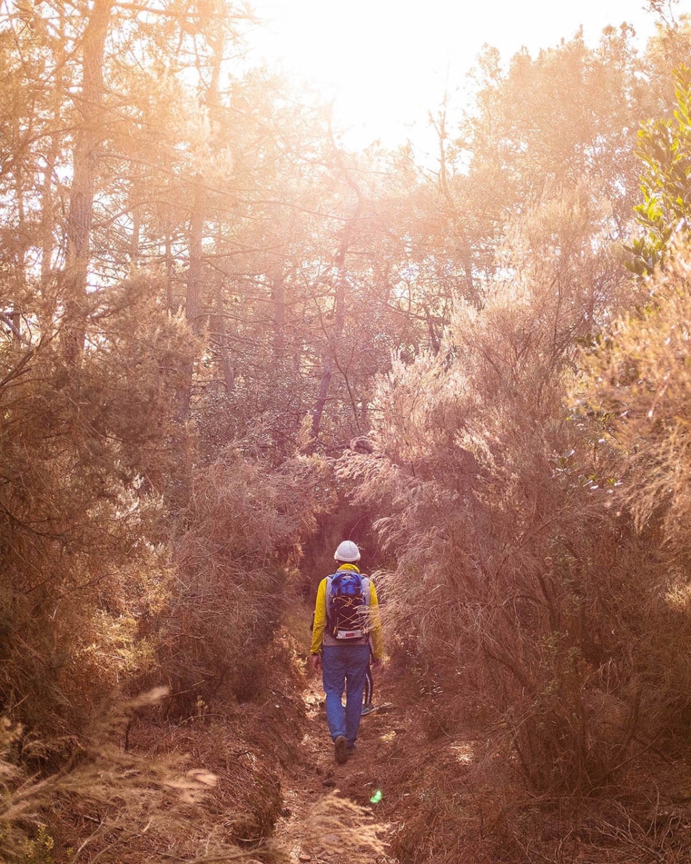 L’attirail du parfait randonneur frenchy - Les Petits Frenchies